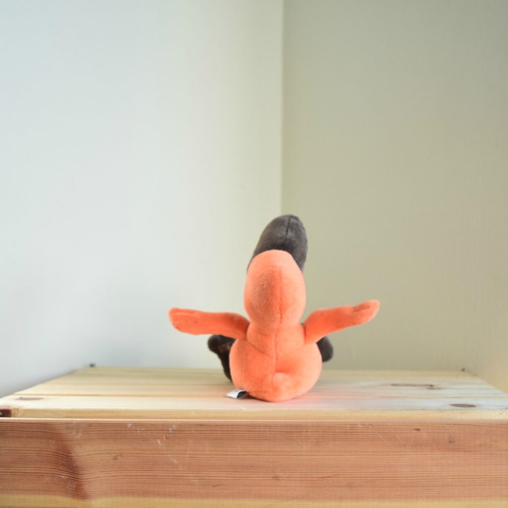 Dodley Le Dodo » Polly Esther Ltd